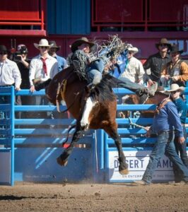 Winners of the 100th Tucson Rodeo - Cowboy Lifestyle Network