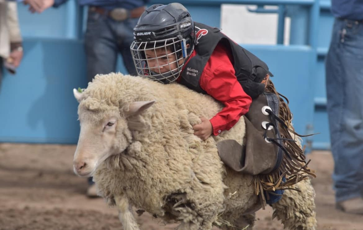 100th La Fiesta de los Vaqueros Tucson Rodeo - Cowboy Lifestyle Network
