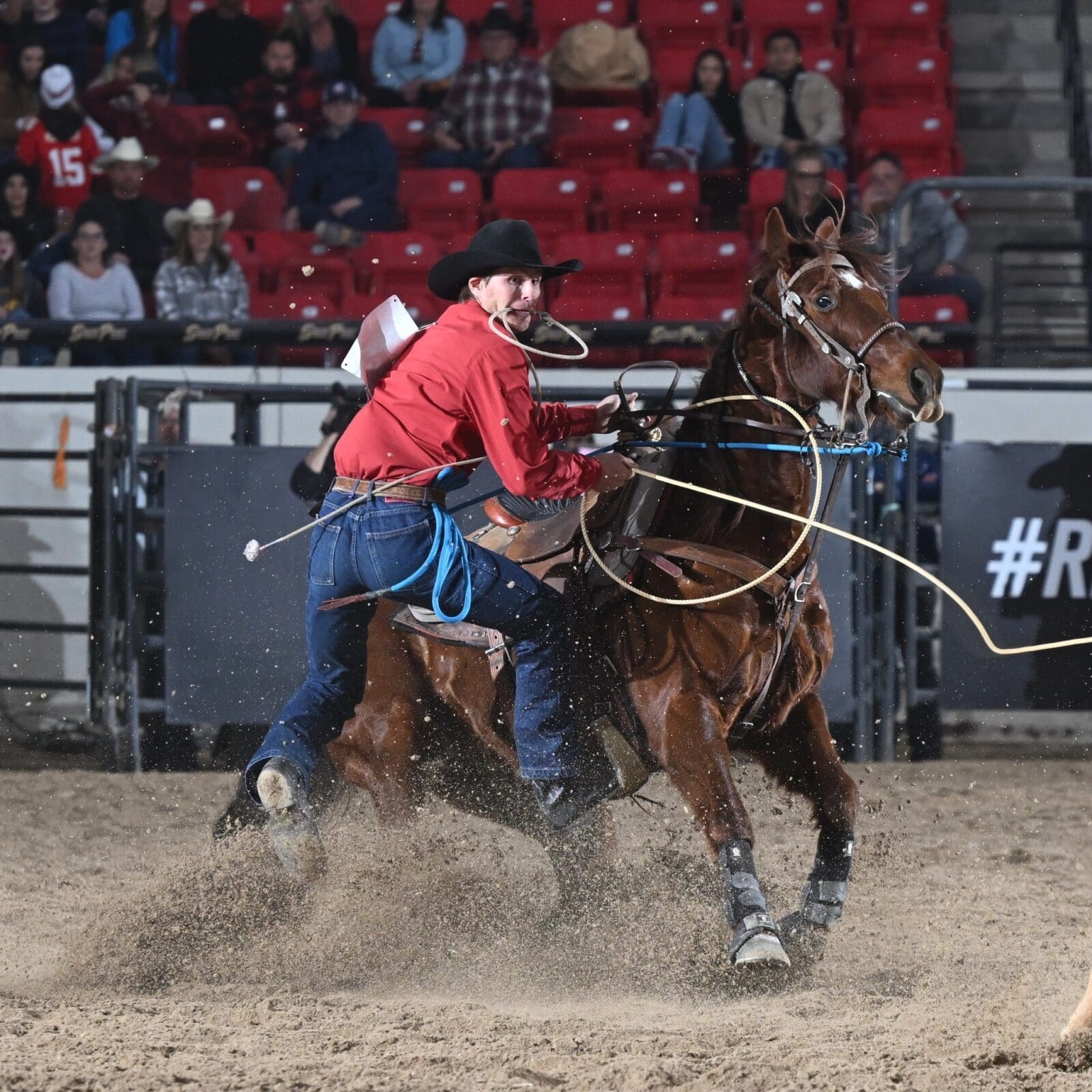 The American Rodeo 2025 - Cowboy Lifestyle Network