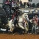 The American Rodeo 2025 - Cowboy Lifestyle Network