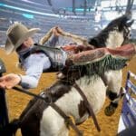The American Rodeo 2025 - Cowboy Lifestyle Network