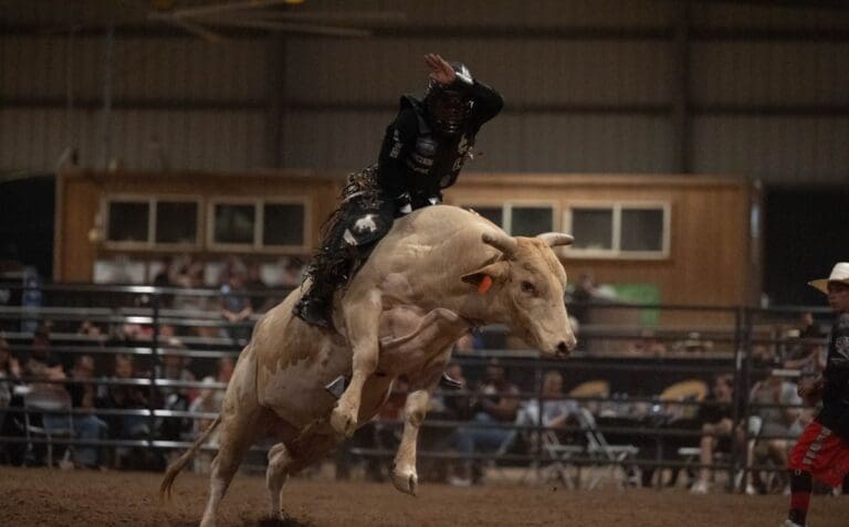 Elite Bull Riding: Challenge of Champions Tour - Cowboy Lifestyle Network