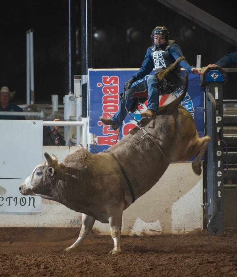 Elite Bull Riding: Challenge of Champions Tour - Cowboy Lifestyle Network