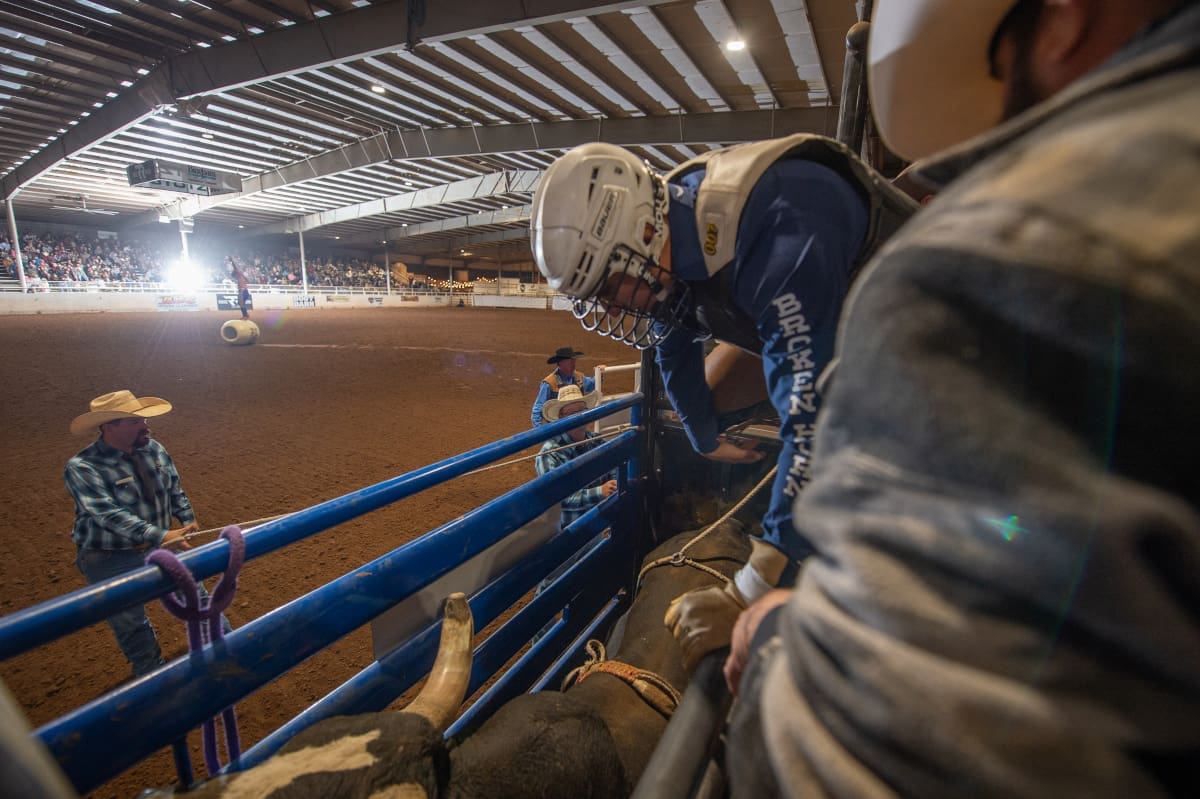 Elite Bull Riding: Challenge of Champions Tour - Cowboy Lifestyle Network