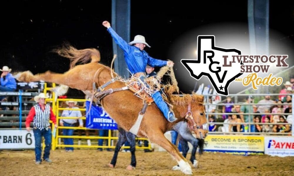 Wrangler Network: the new online network is made official