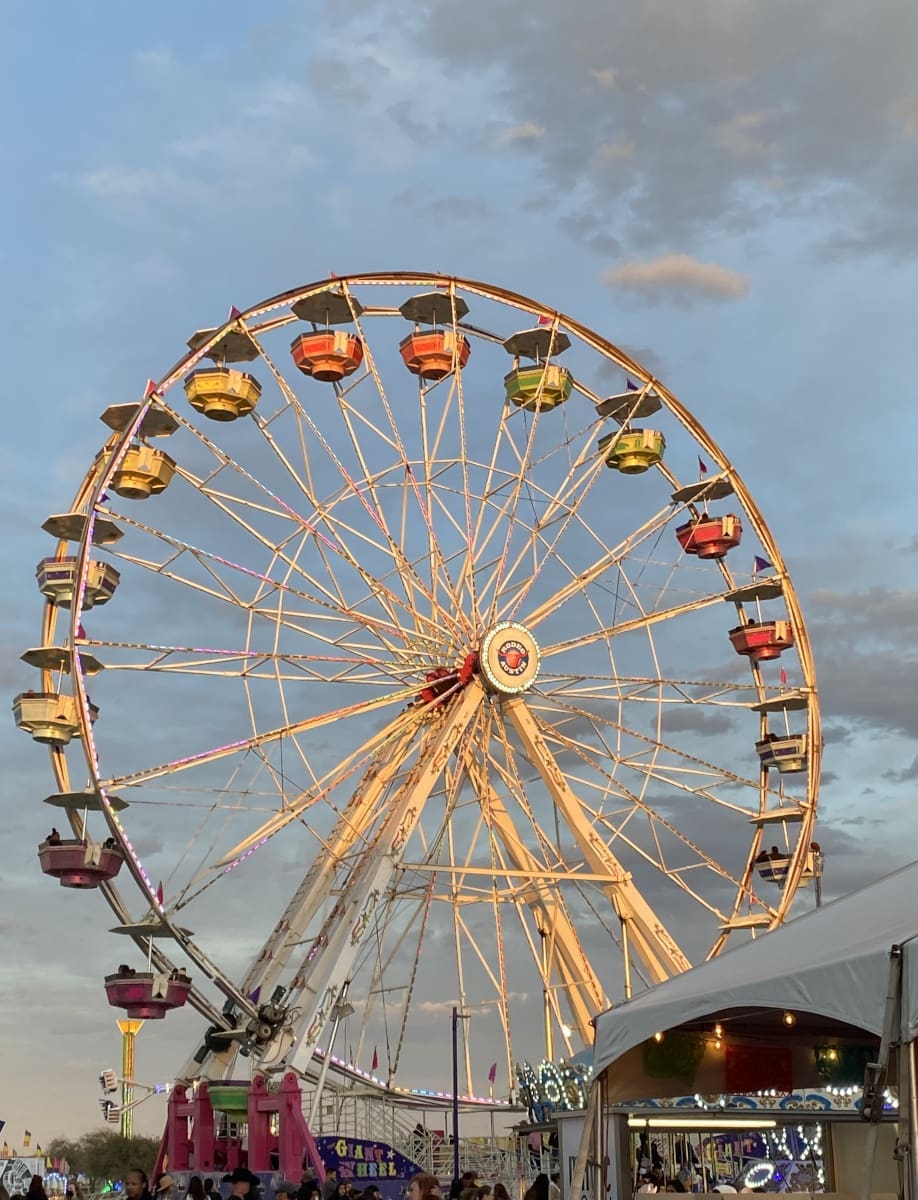 Rodeo Austin 2025 - Cowboy Lifestyle Network