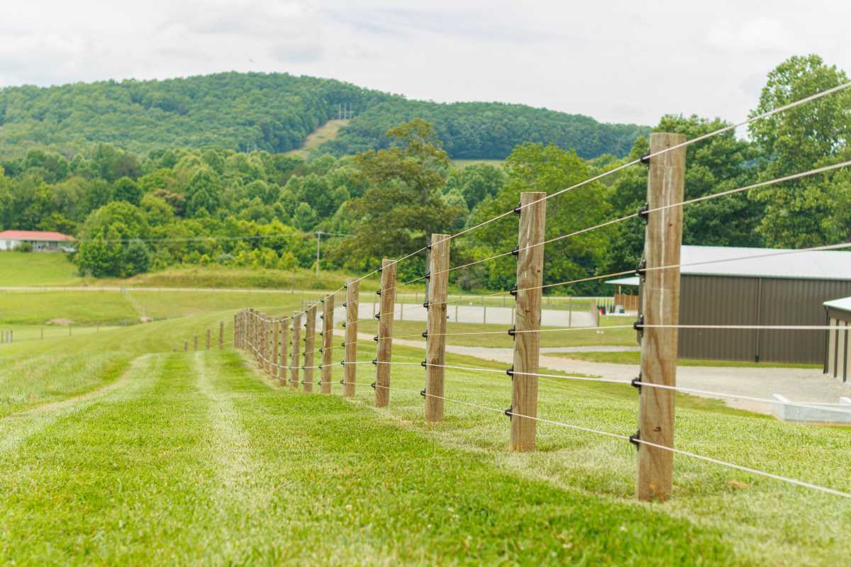 4 Reasons Why Cameo is the Best Low-Maintenance Horse Fencing - Cowboy ...