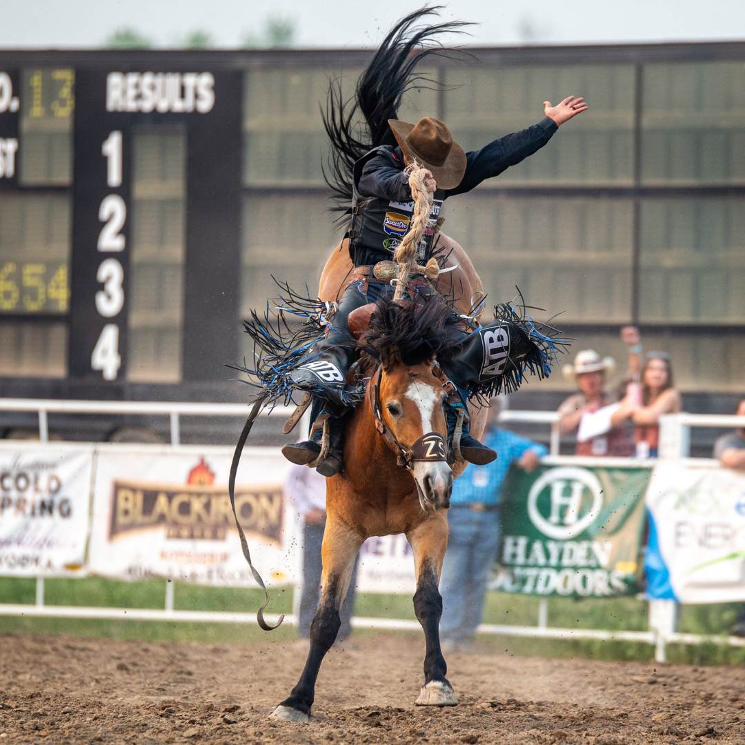 The 2025 World Famous Miles City Bucking Horse Sale - Cowboy Lifestyle ...