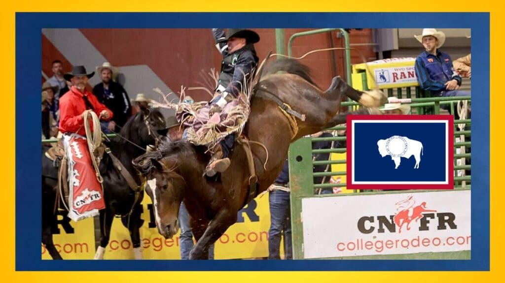CNFR 2025: Where College Rodeo Champions are Made - Cowboy Lifestyle ...