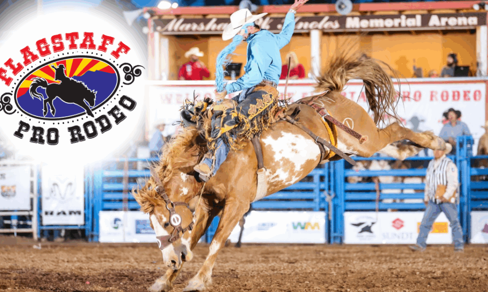 Champions rise to top at National Western Stock Show PBR Bull Riding ...