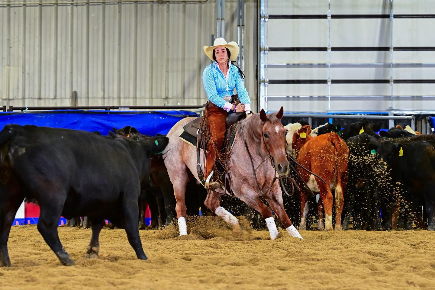2025 Texas High School Rodeo Finals - Cowboy Lifestyle Network