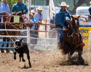 Prescott Frontier Days 2025 - Cowboy Lifestyle Network
