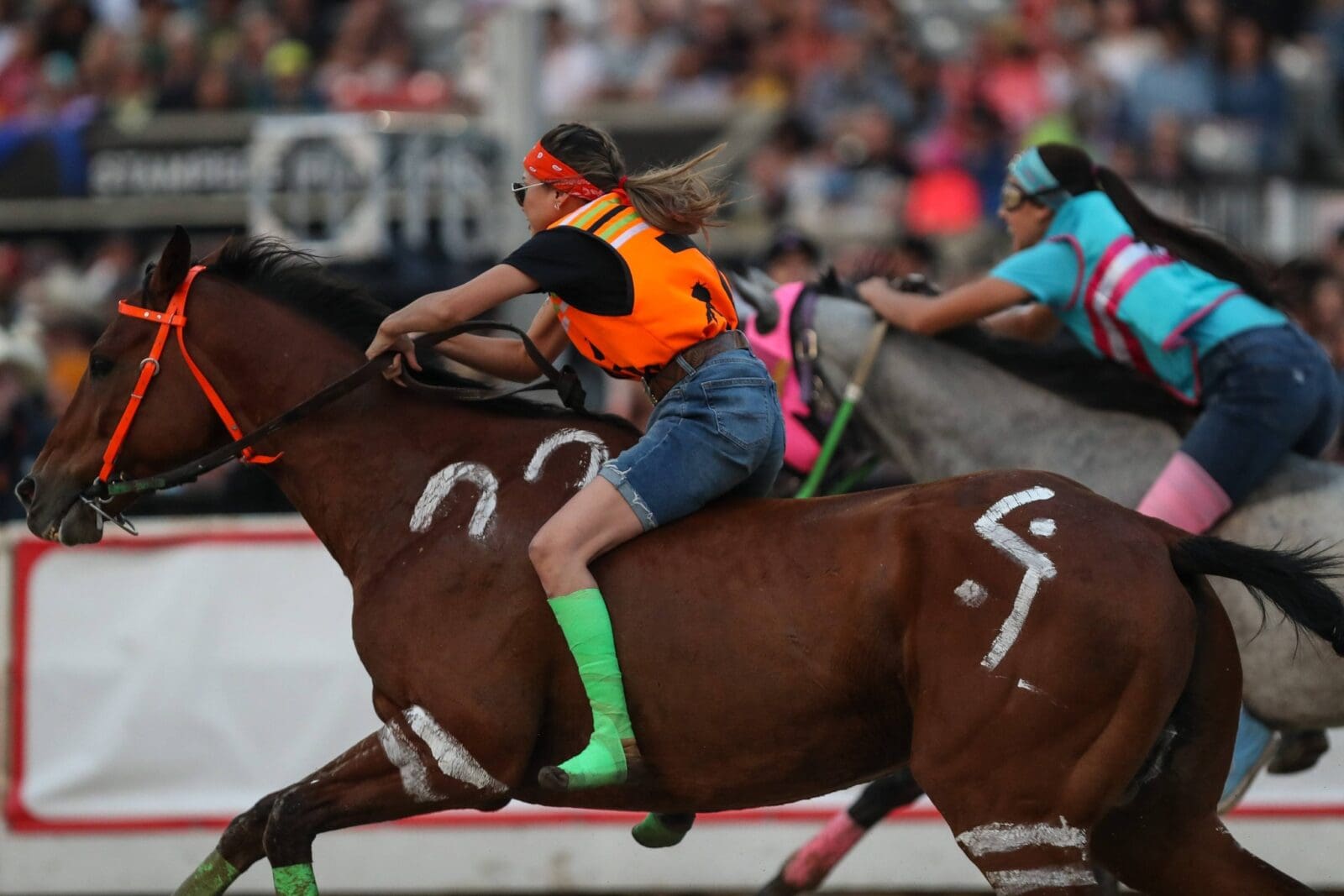 Calgary Stampede 2025 - Cowboy Lifestyle Network