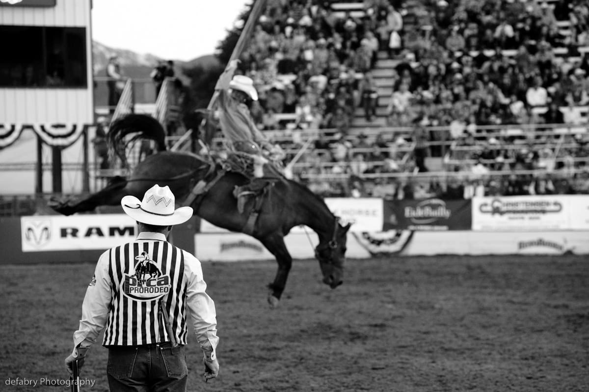 Reno Rodeo 2025: The Wildest, Richest Rodeo in the West - Cowboy ...