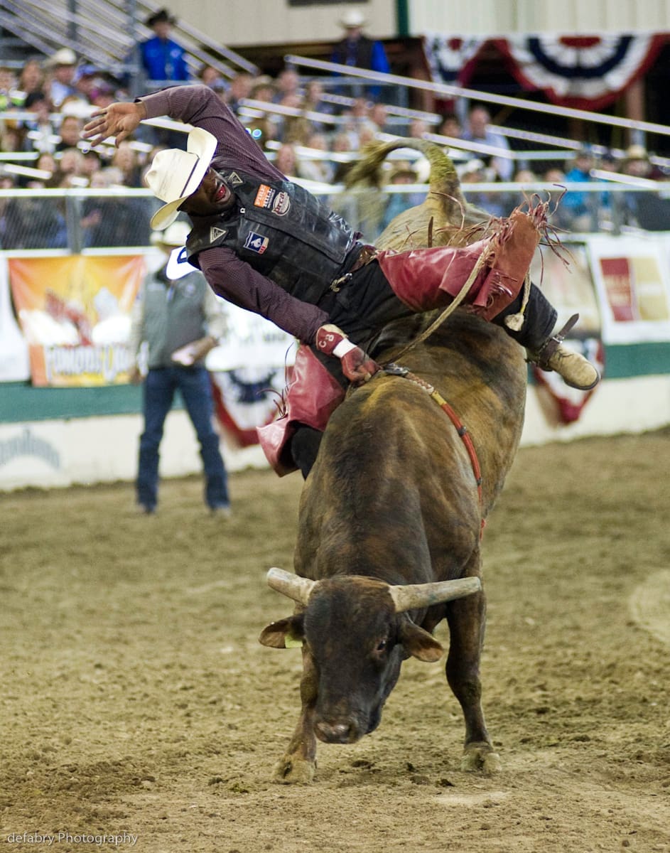Reno Rodeo 2025: The Wildest, Richest Rodeo in the West - Cowboy ...