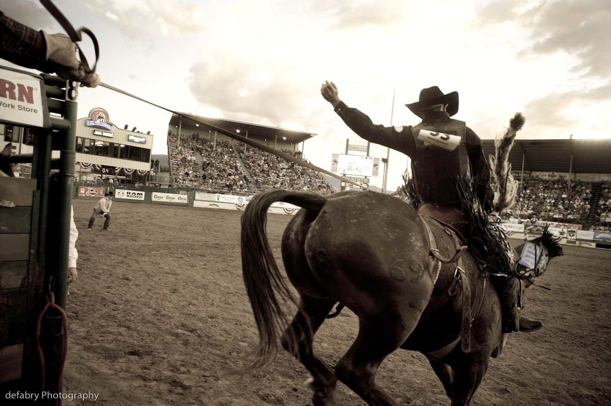 Reno Rodeo 2025: The Wildest, Richest Rodeo in the West - Cowboy ...