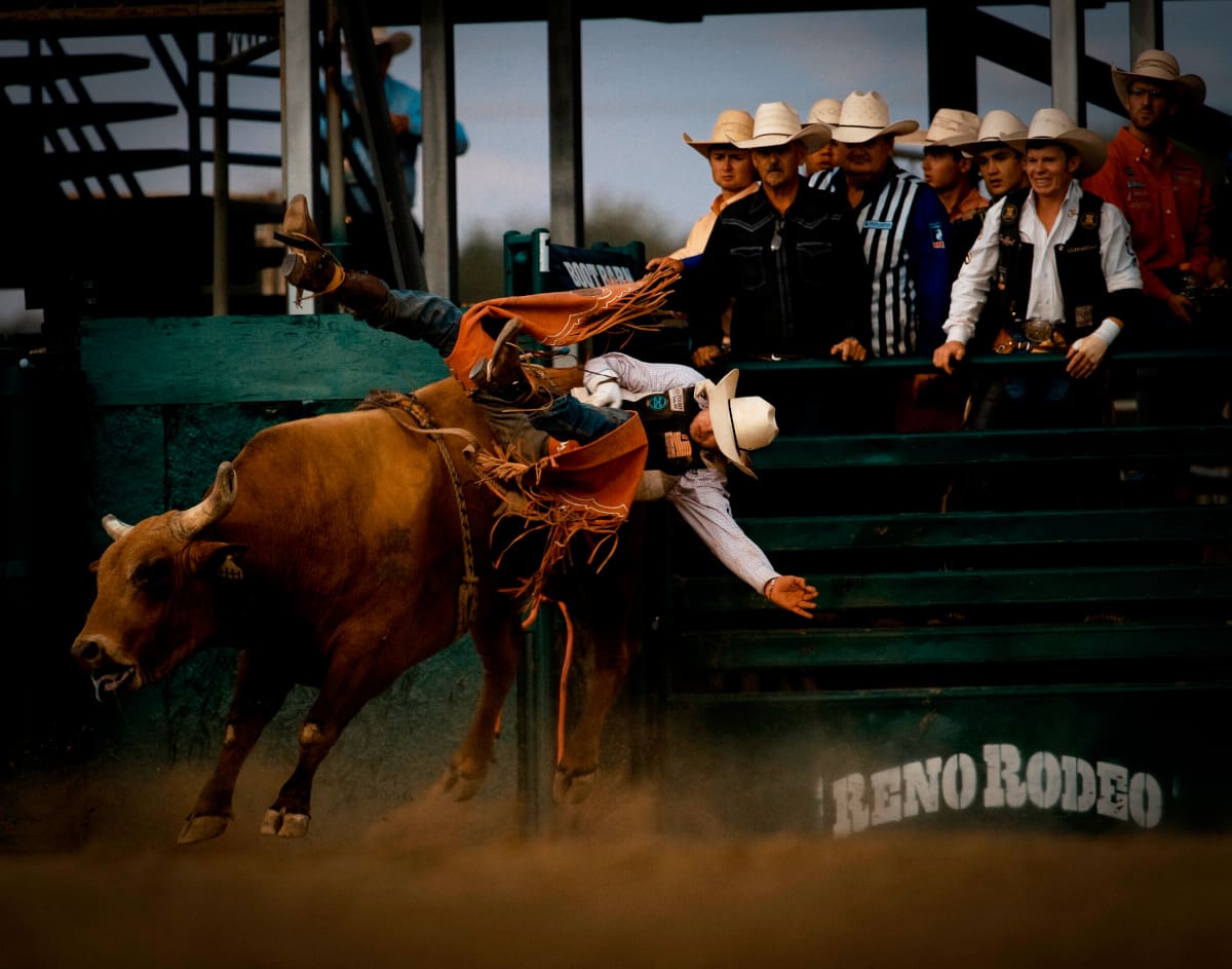 Reno Rodeo 2025: The Wildest, Richest Rodeo in the West - Cowboy ...