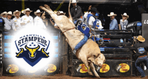 Berger Bucking Bulls Most Legendary Bucking Bulls