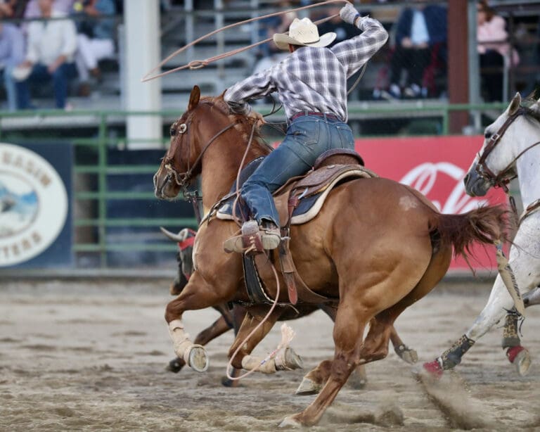 Jackson Hole Rodeo: Where Western Dreams Come Alive - Cowboy Lifestyle ...