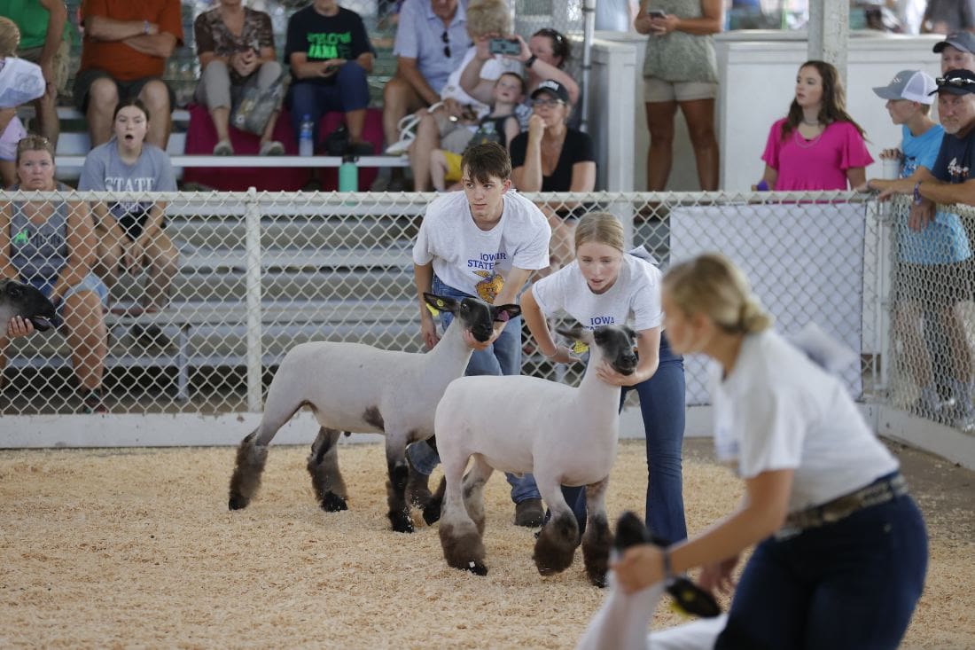 Step Right Up! Why the Iowa State Fair is More Than Just an Event – It ...