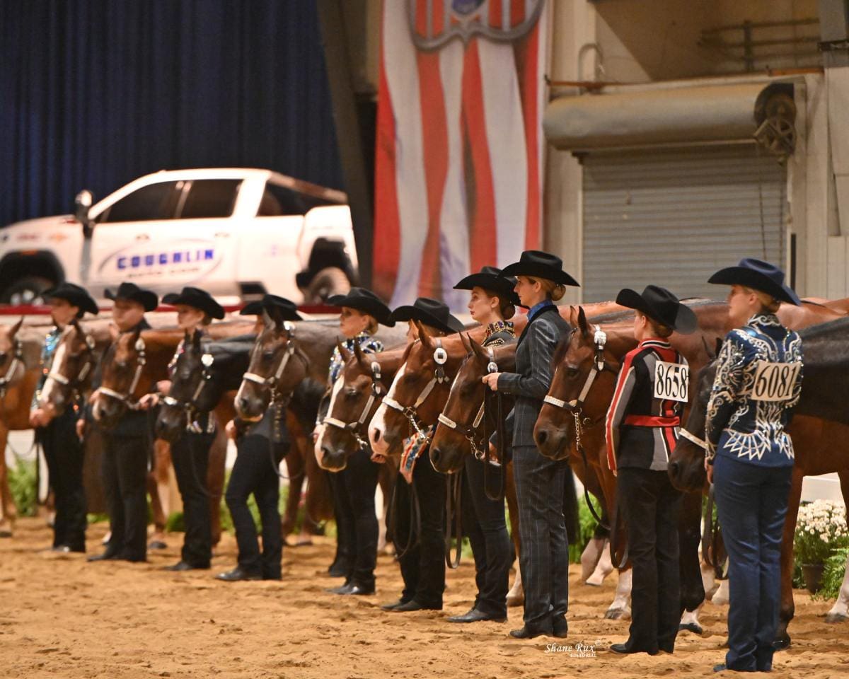 All American Quarter Horse Congress 2025 - Cowboy Lifestyle Network