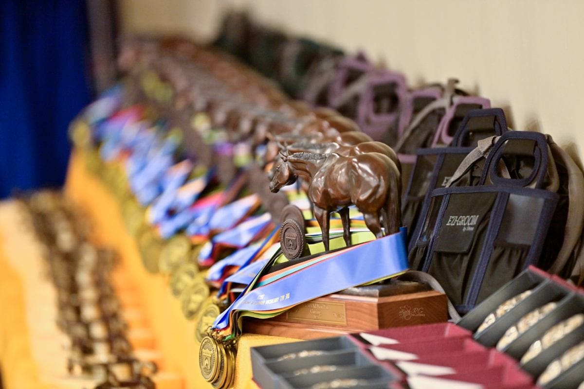 All American Quarter Horse Congress 2025 - Cowboy Lifestyle Network