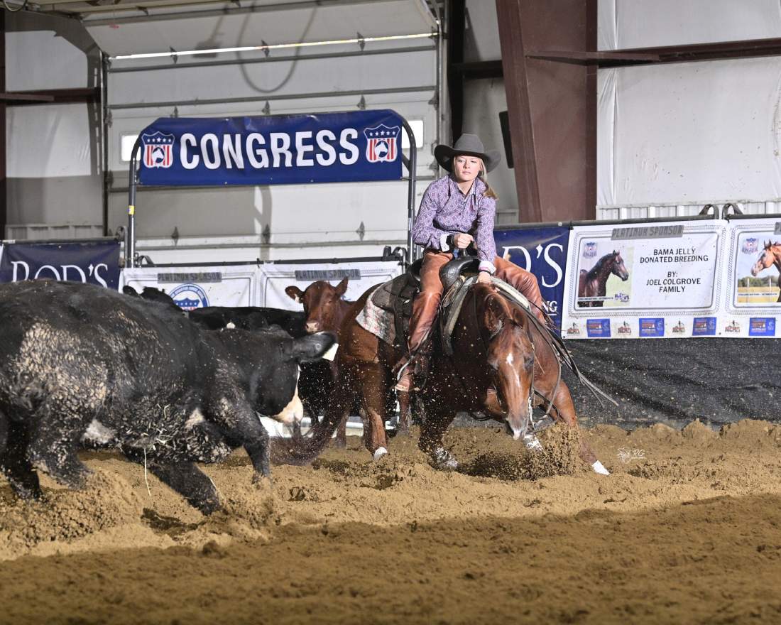 All American Quarter Horse Congress 2025 - Cowboy Lifestyle Network