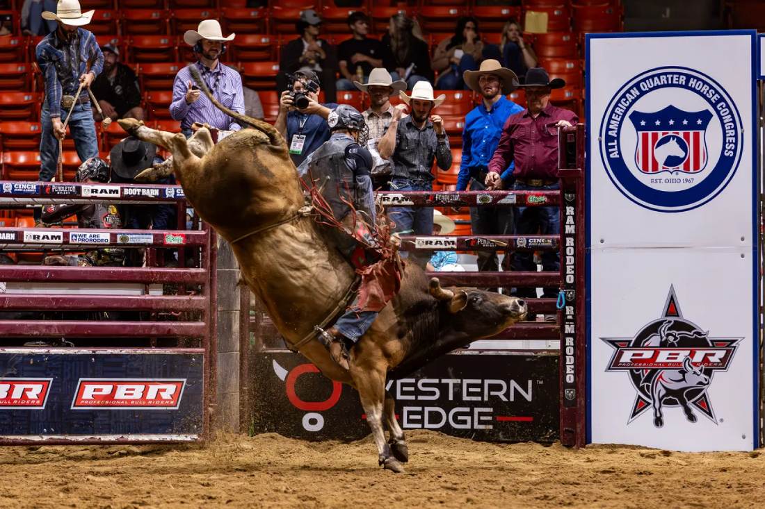 All American Quarter Horse Congress 2025 - Cowboy Lifestyle Network