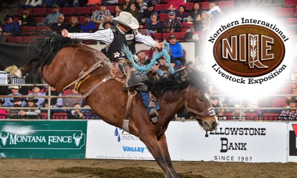 The Hondo Rodeo Fest: Arizona's Ultimate Rodeo Showdown - Cowboy ...