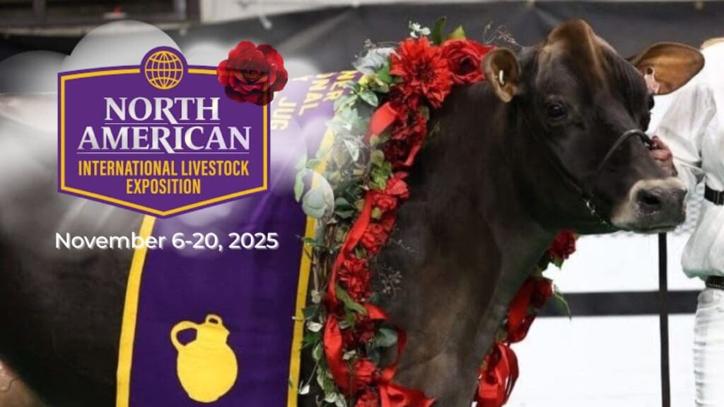 North American International Livestock Exposition - Cowboy Lifestyle ...