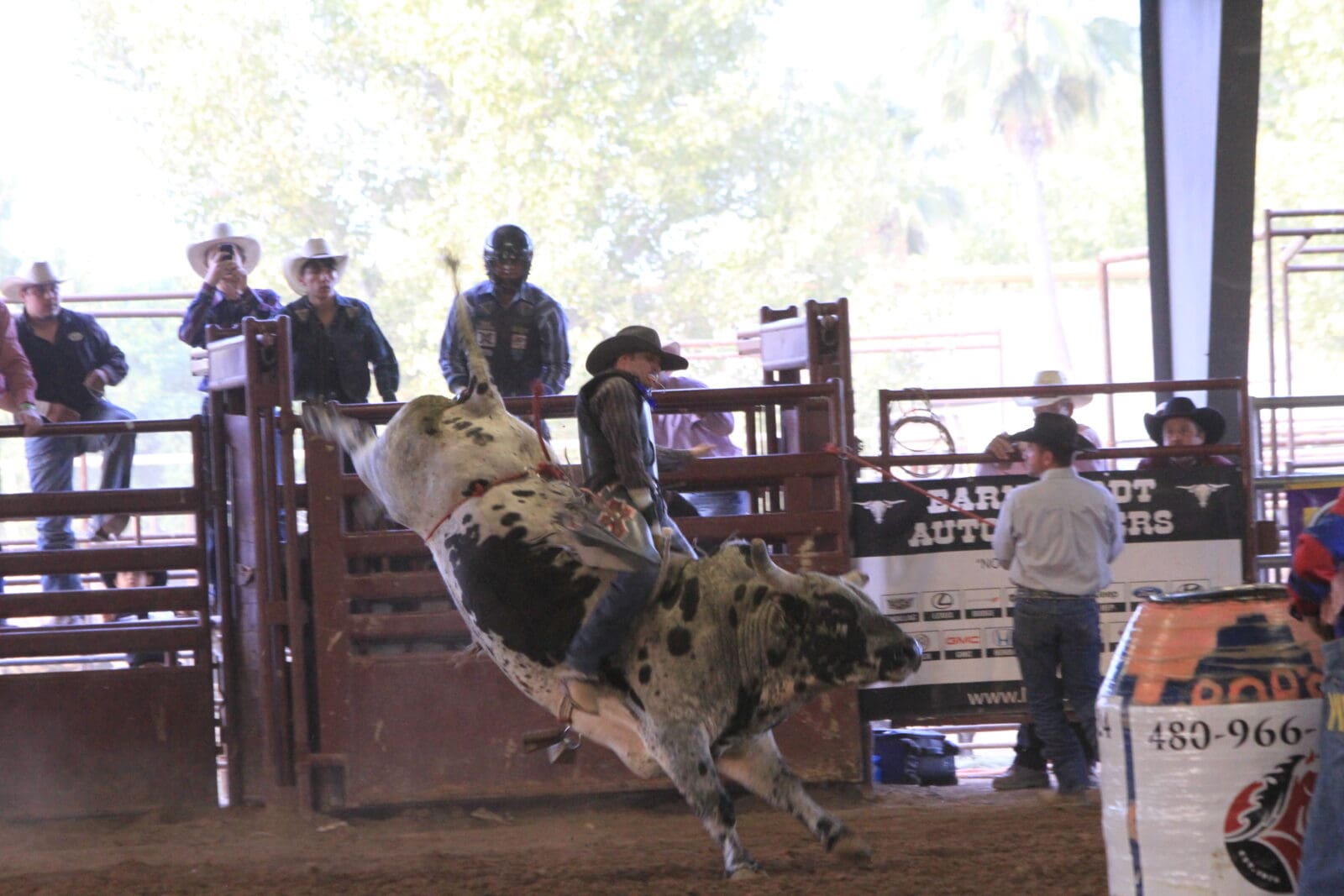 Gilbert Days Rodeo 2025 - Cowboy Lifestyle Network