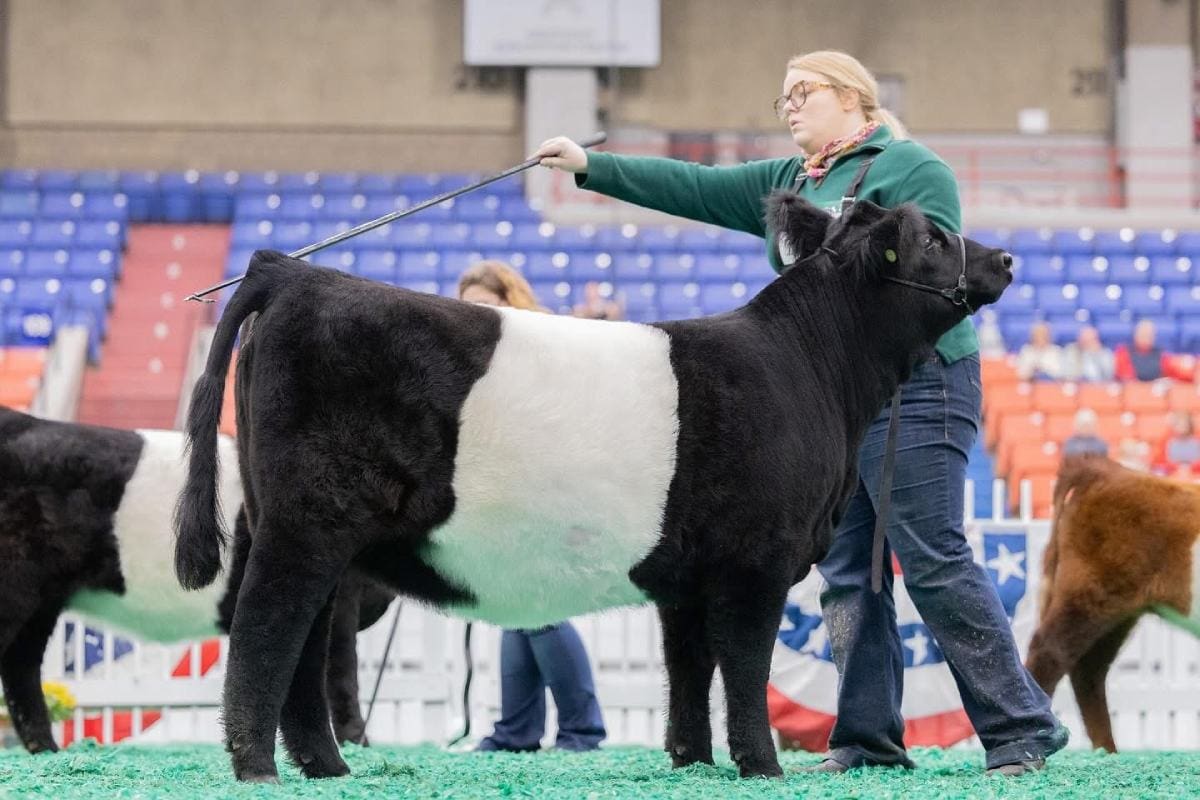 North American International Livestock Exposition - Cowboy Lifestyle ...