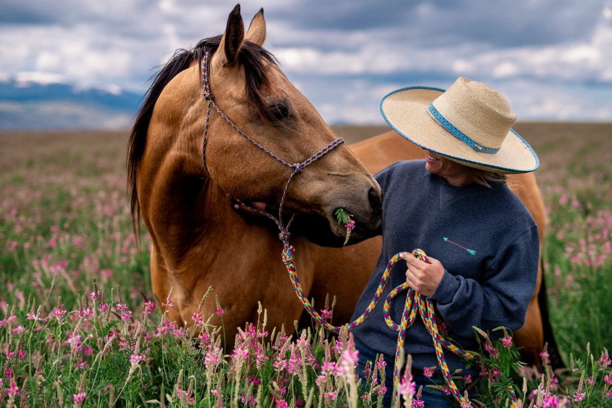 Sainfoin Feeds: Revolutionizing Equine Nutrition - Cowboy Lifestyle Network