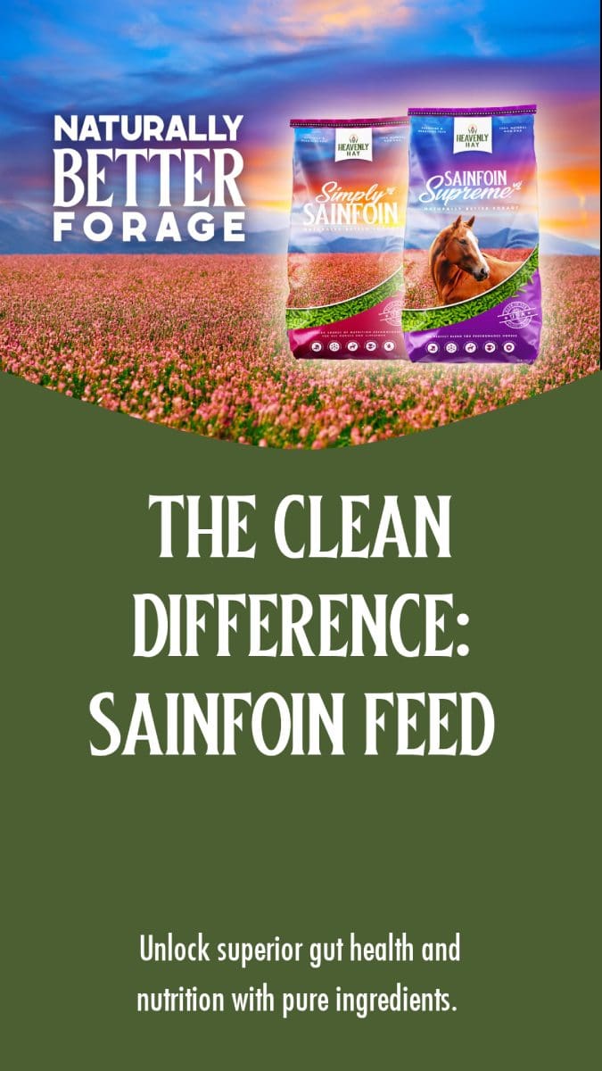 Sainfoin Feeds: Revolutionizing Equine Nutrition - Cowboy Lifestyle Network