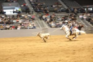 Dixie National Livestock Show & Rodeo 2026 - Cowboy Lifestyle Network