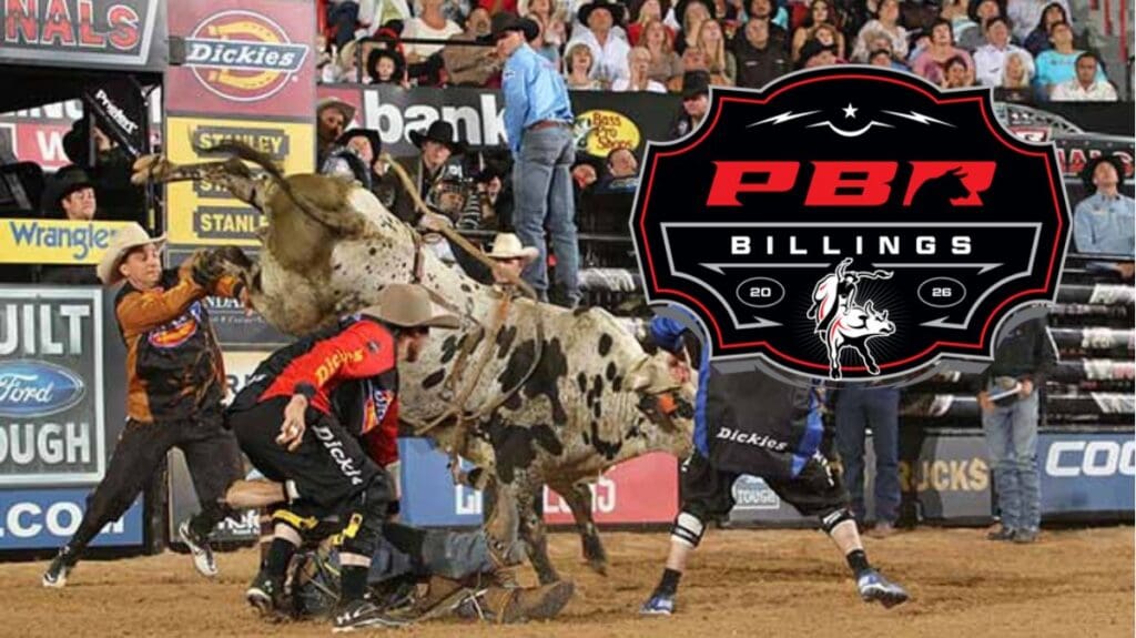 Top 5 Bulls in Bucking Bull History - Cowboy Lifestyle Network