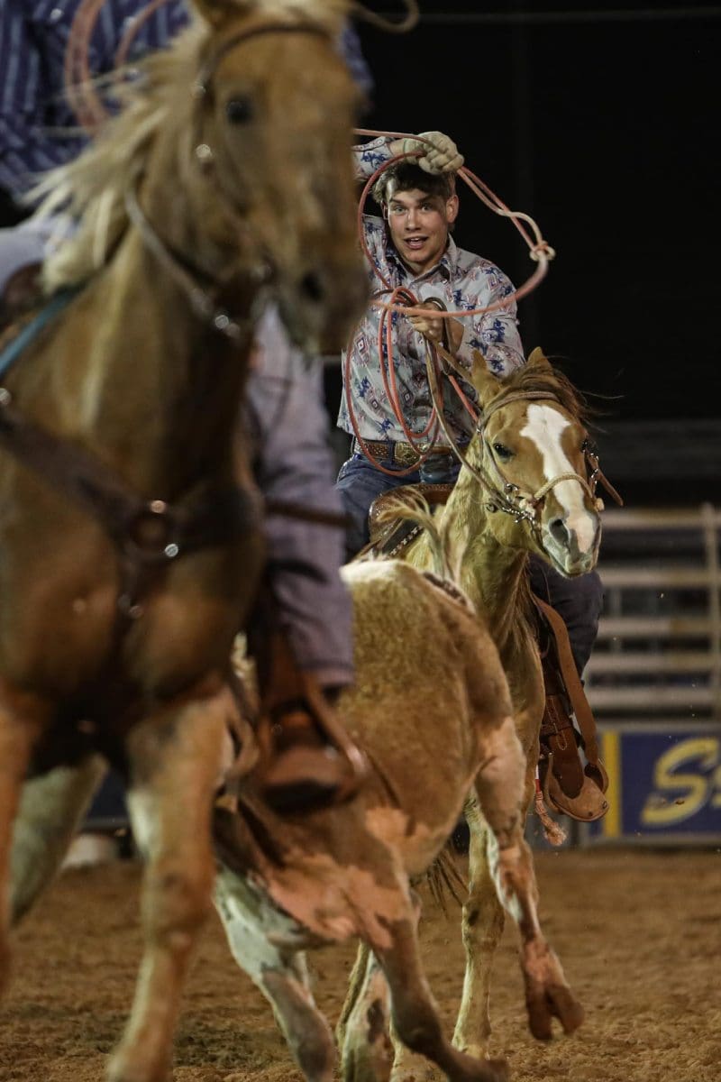 Clark County Fair & Rodeo 2026: Nevada’s Ultimate Spring Tradition ...