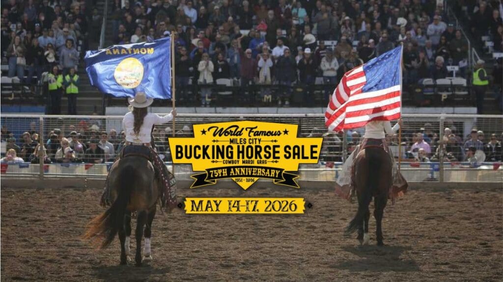 The 2026 World Famous Miles City Bucking Horse Sale - Cowboy Lifestyle ...