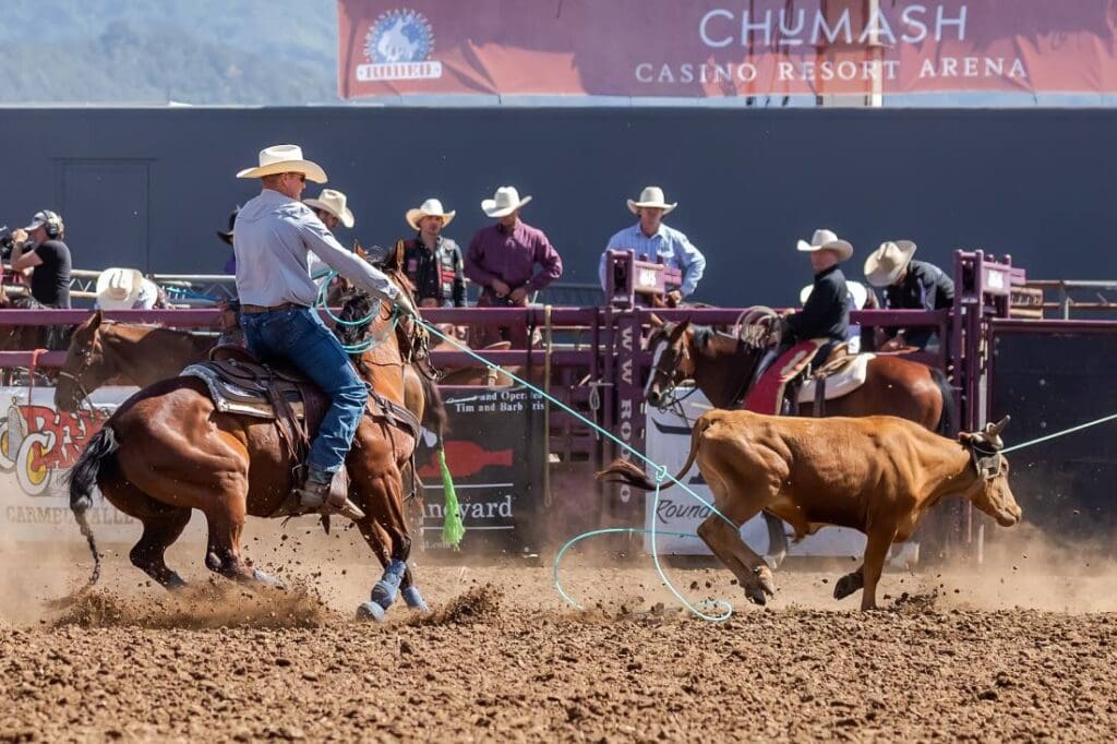 Dust Off Your Boots for the Old Santa Ynez Days Rodeo 2026 - Cowboy ...