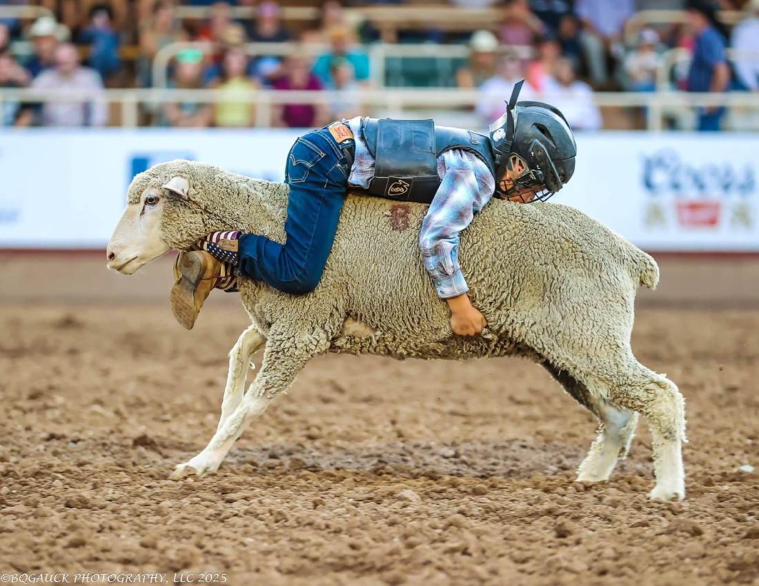Pikes Peak or Bust Rodeo 2026 Returns to Colorado Springs with Five ...