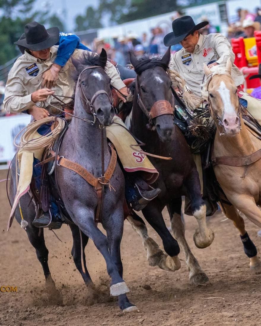 California Rodeo Salinas 2026: The Biggest Summer Tradition on ...